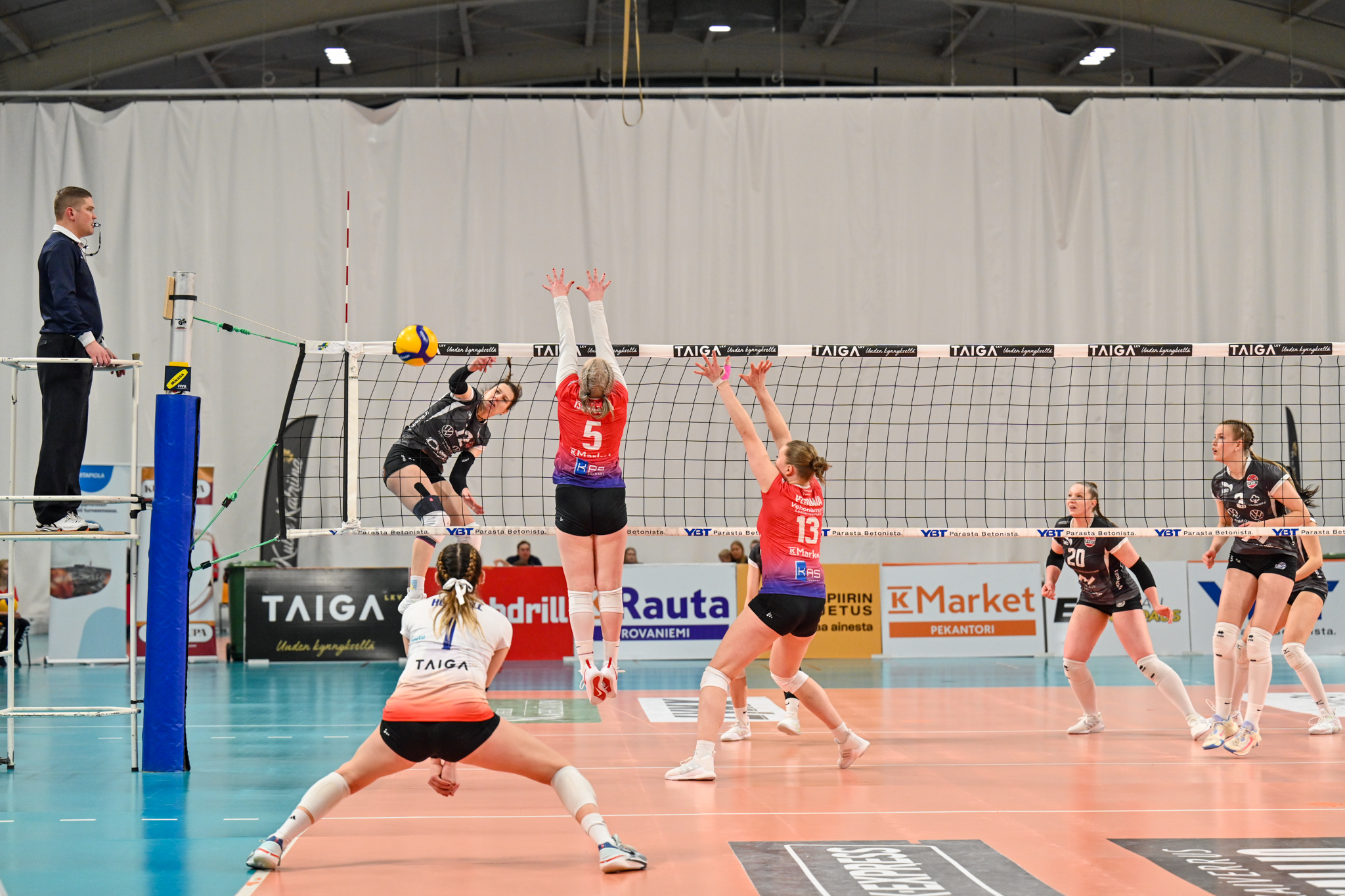 Sarjakärki saapuu Rovaniemelle! | Arctic Volley
