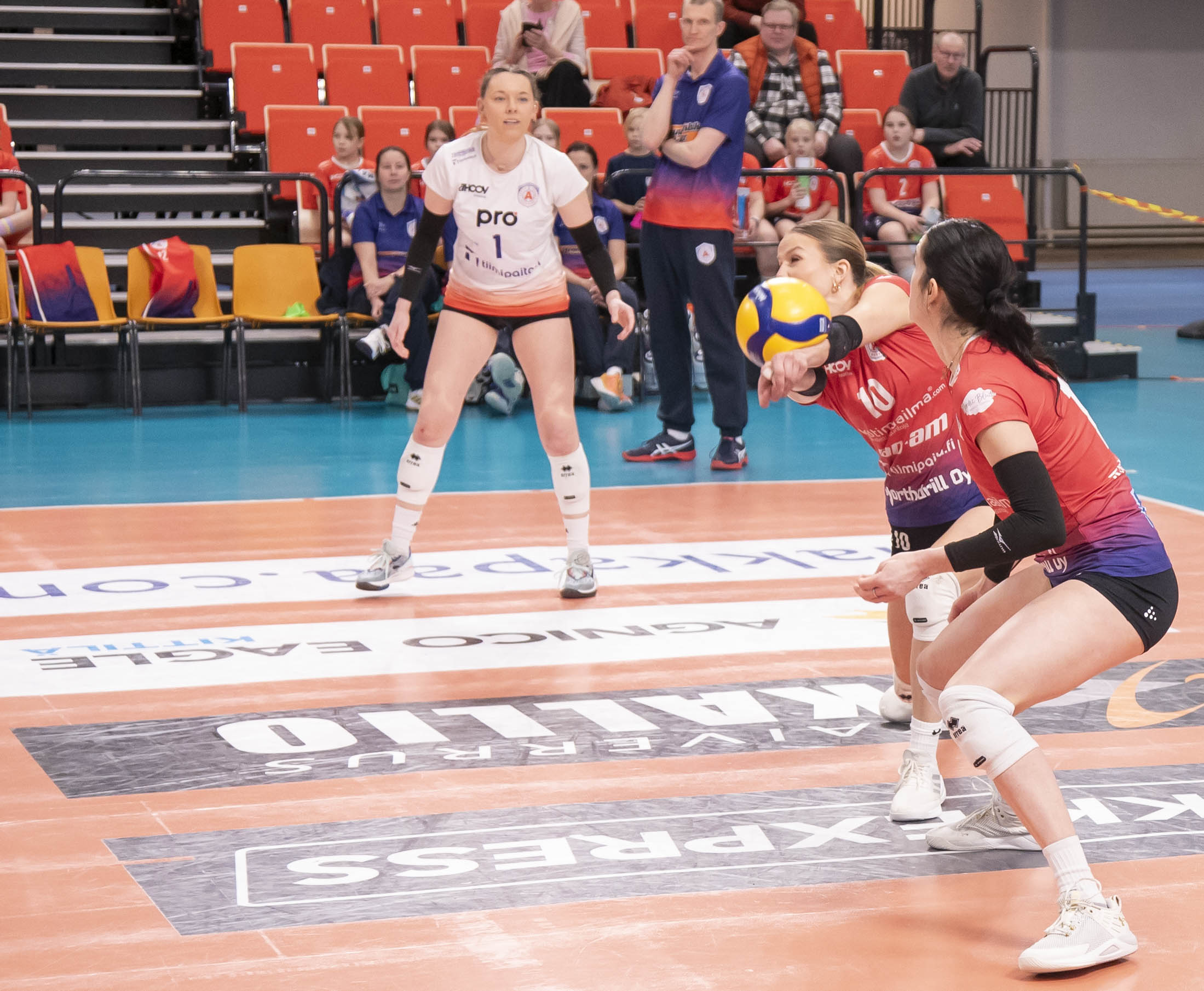 Arctic Volley aloitti vuoden voitolla! | Arctic Volley